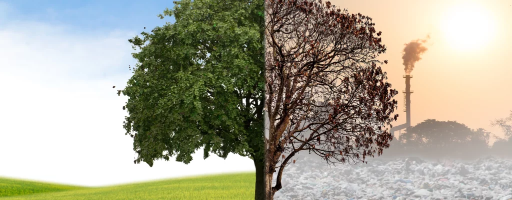 The Ultimate Guide to Particulate Matter (PM) Monitoring: Why It ...